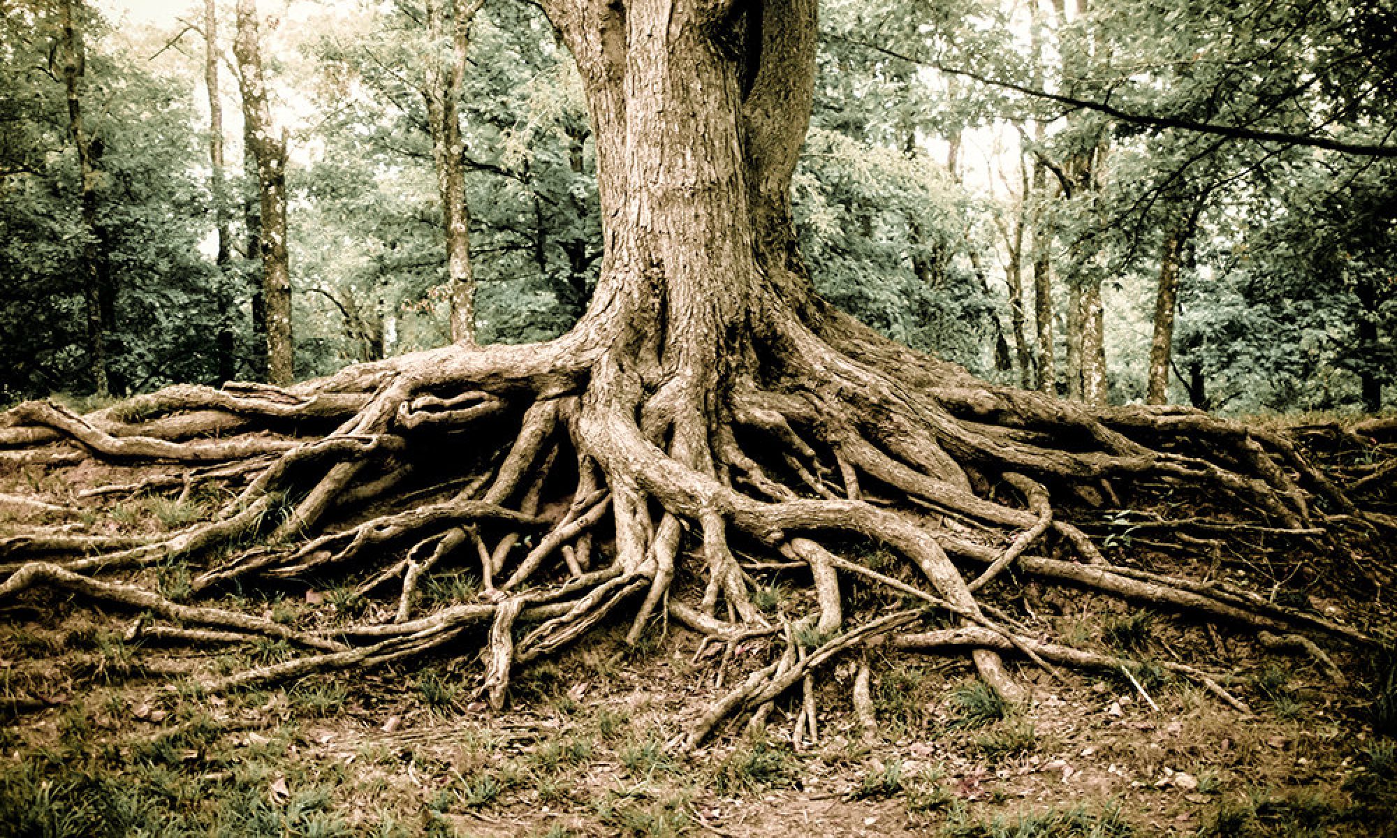 Psychotherapy & counselling – Kirk Fisher Psychotherapy